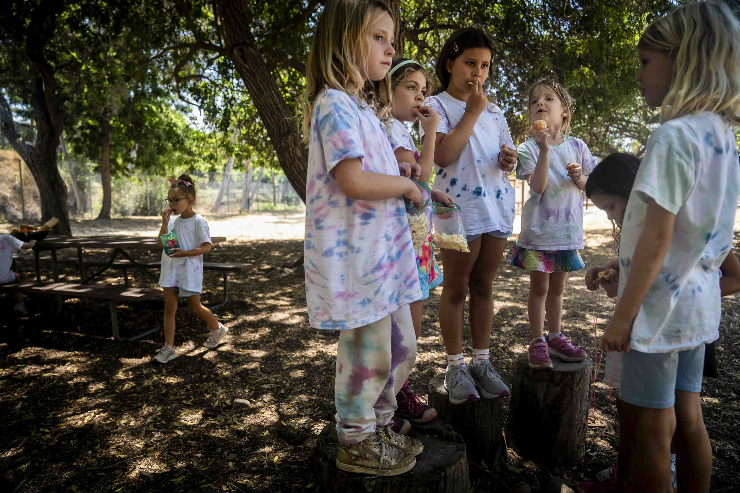 Girl Scouts of San Diego Case Study